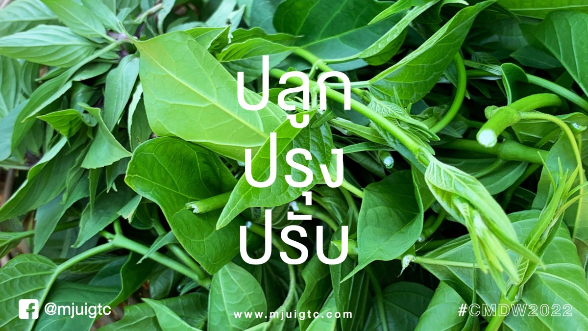 Food Asset Mapping – iGTC